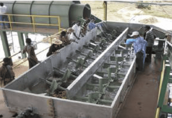 Starch process – Cassava Development Authority