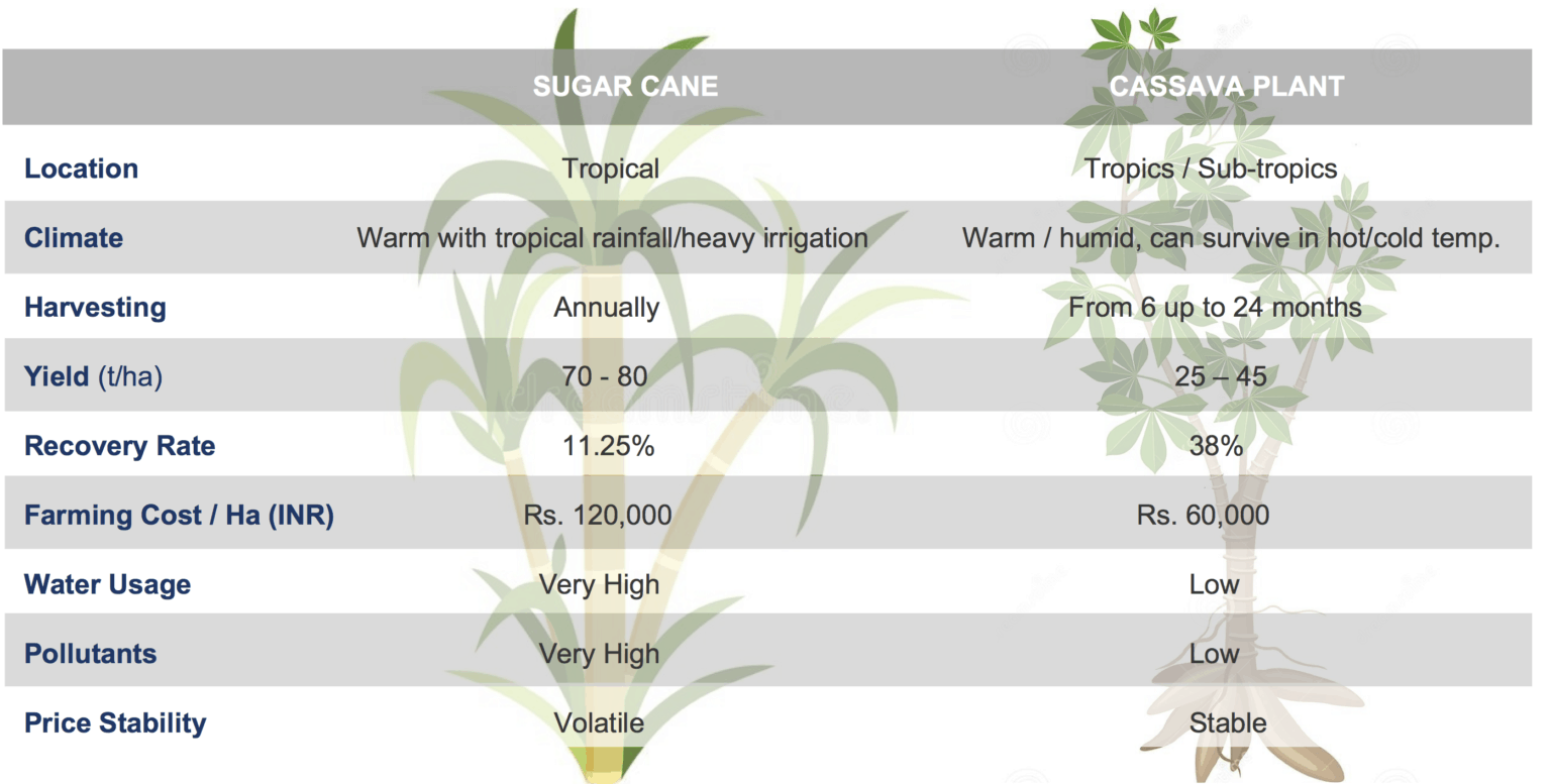 cassava – Cassava Development Authority