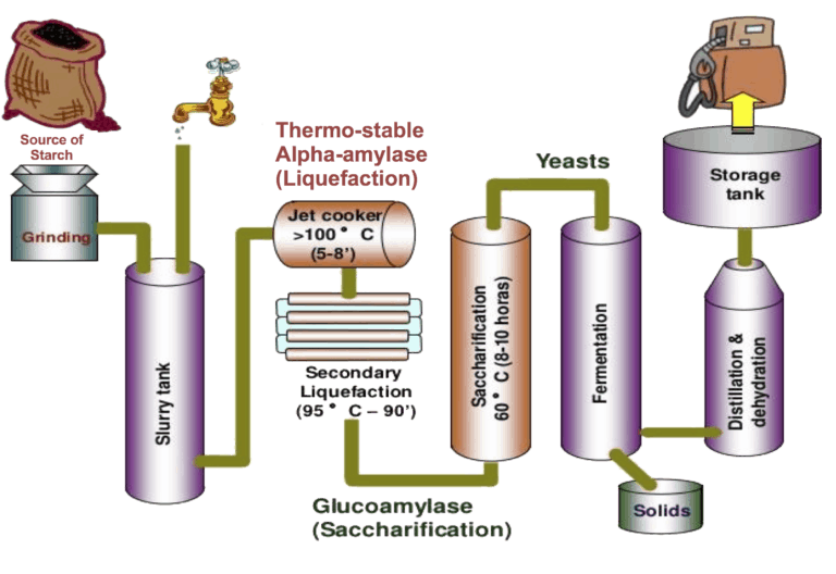 Ethanol Process – Cassava Development Authority